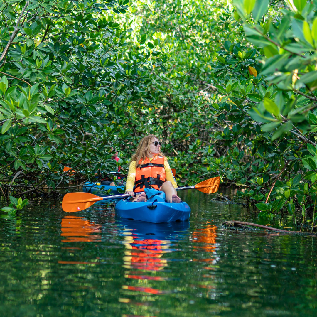 Morning Kayak Eco Tour in Cancun - HIGHLIFE MEXICO - TOURS